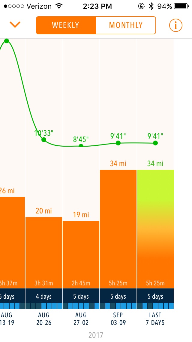 App Review: Tempo Training Log for Runners – Words on the Word